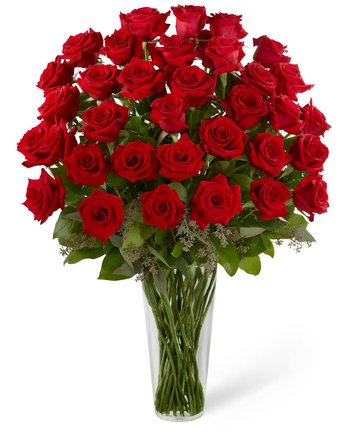 12 to 36 Long Stem Red Roses - Toronto Rose Delivery