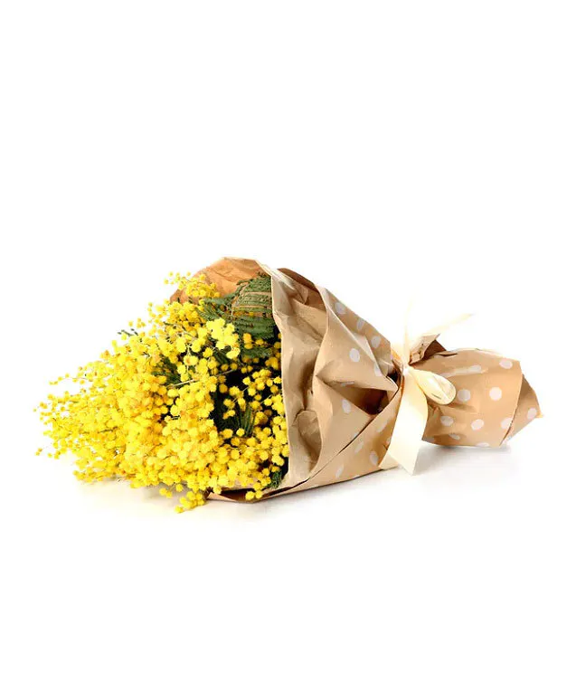 Mimosa Bouquet for International Women's Day by Ital Florist